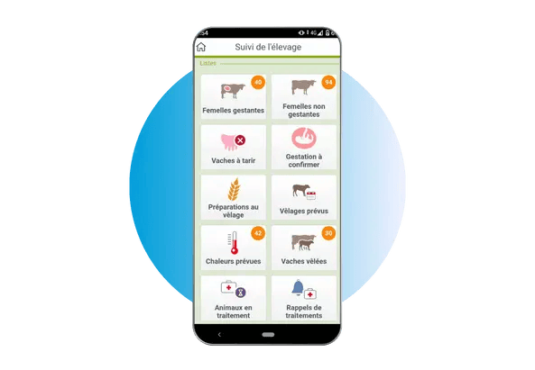 Logiciel de gestion de bovins allaitants - Troup'O | Isagri